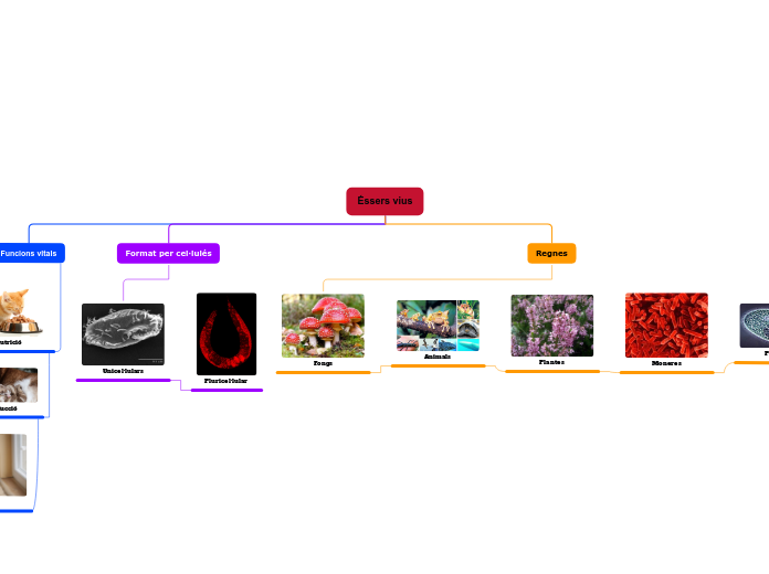 Éssers vius - Mind Map